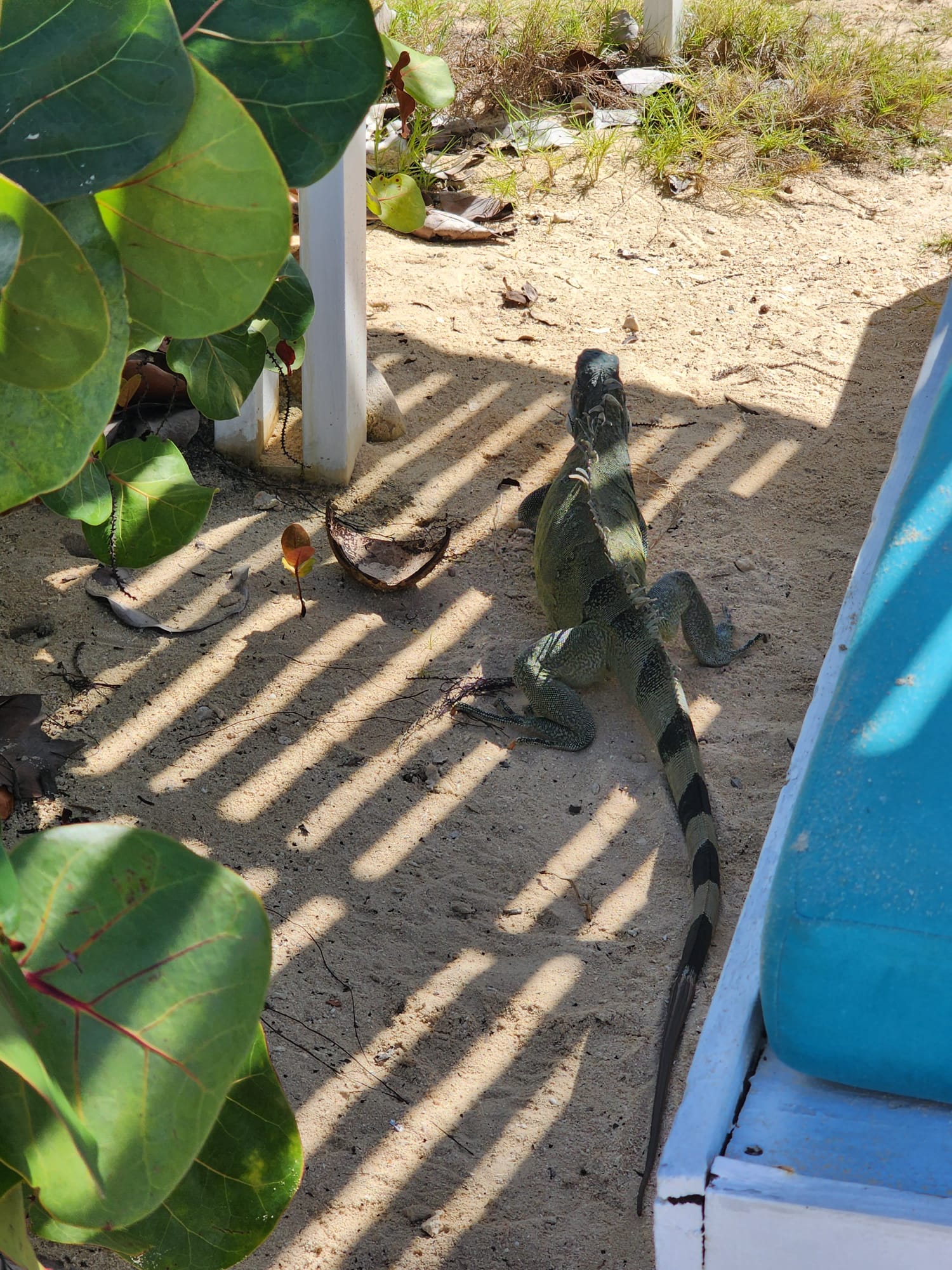 Update: Week Two! – Frontline Bible Church